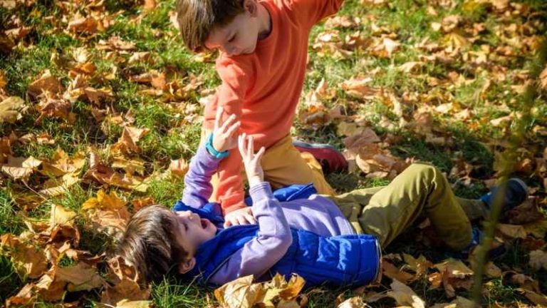 Does Your Toddler Hit Others? - Being The Parent